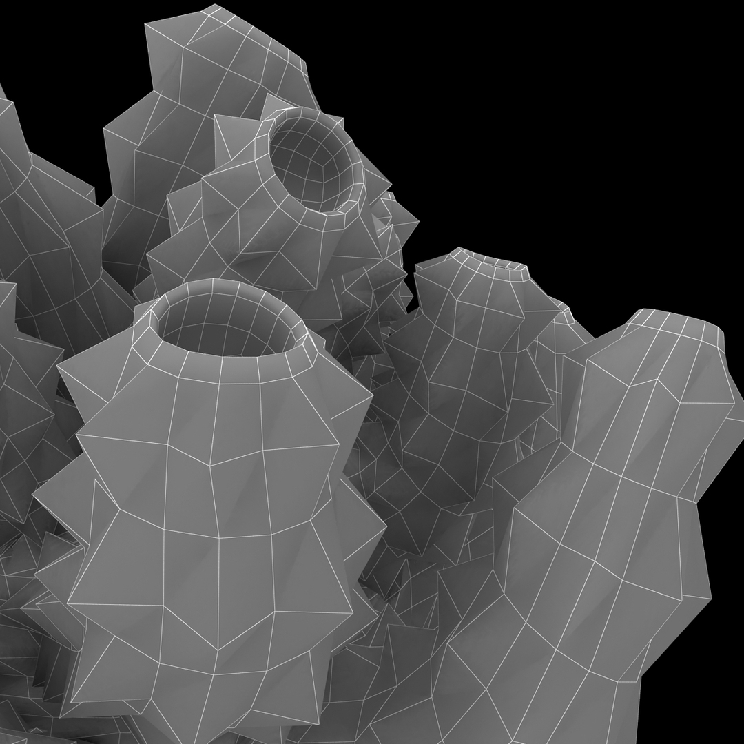 sea sponges 3d model