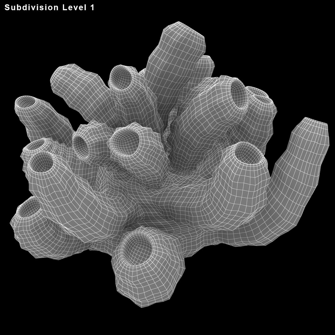 sea sponges 3d model