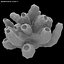 sea sponges 3d model