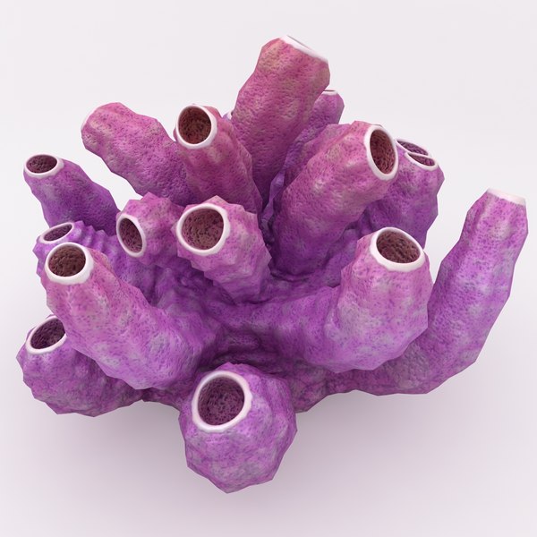 sea sponges 3d model