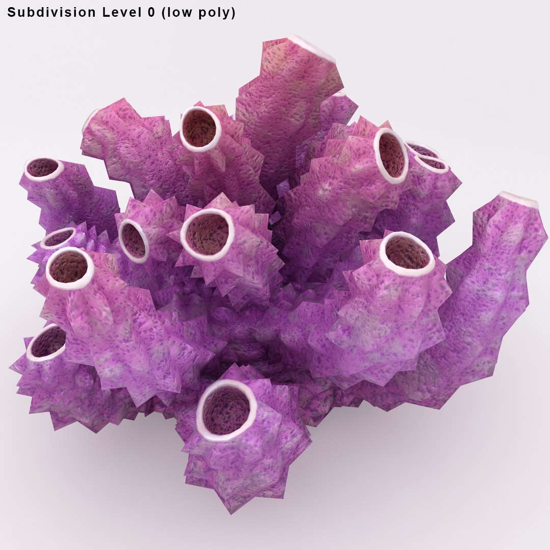 sea sponges 3d model