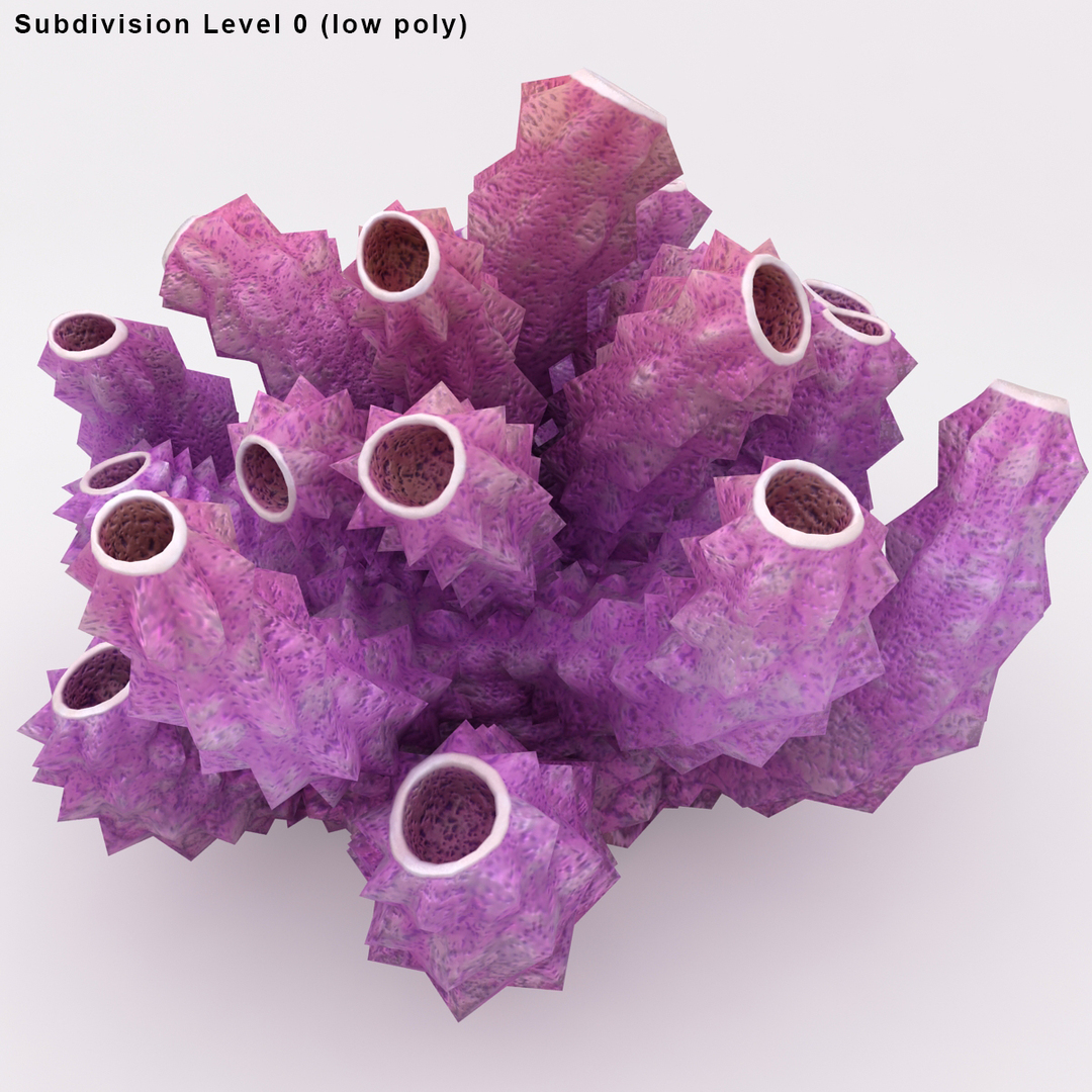 sea sponges 3d model