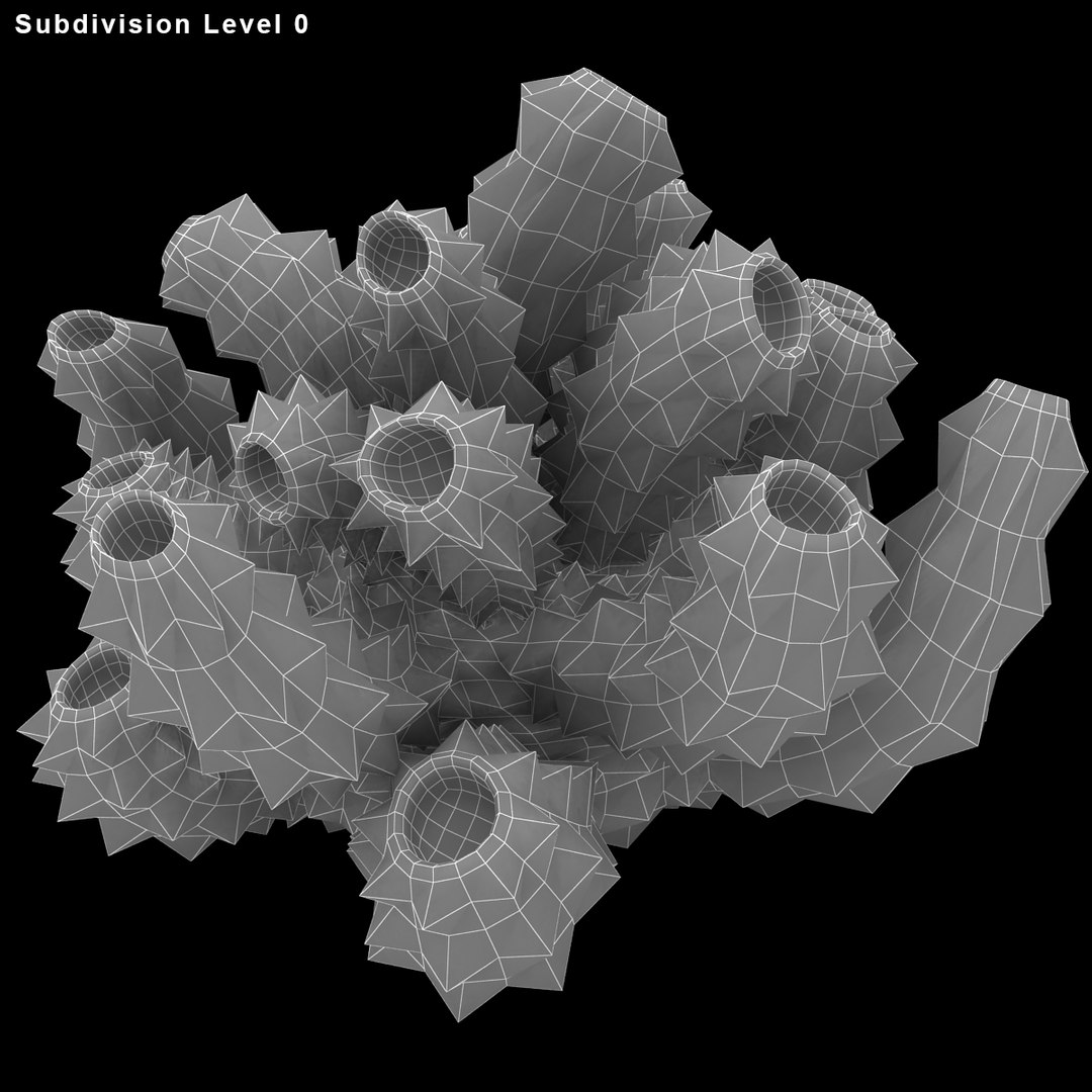 sea sponges 3d model