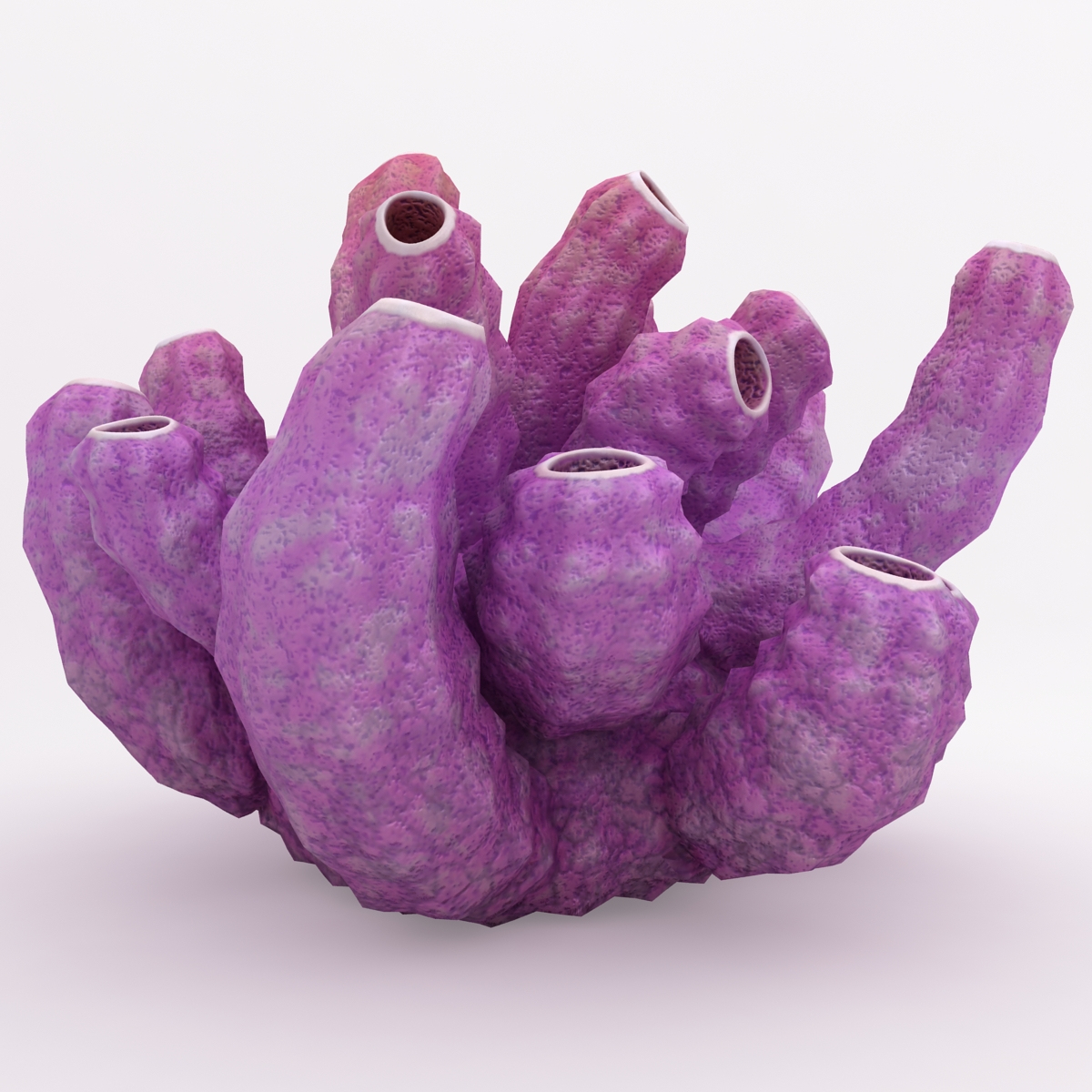 sea sponges 3d model