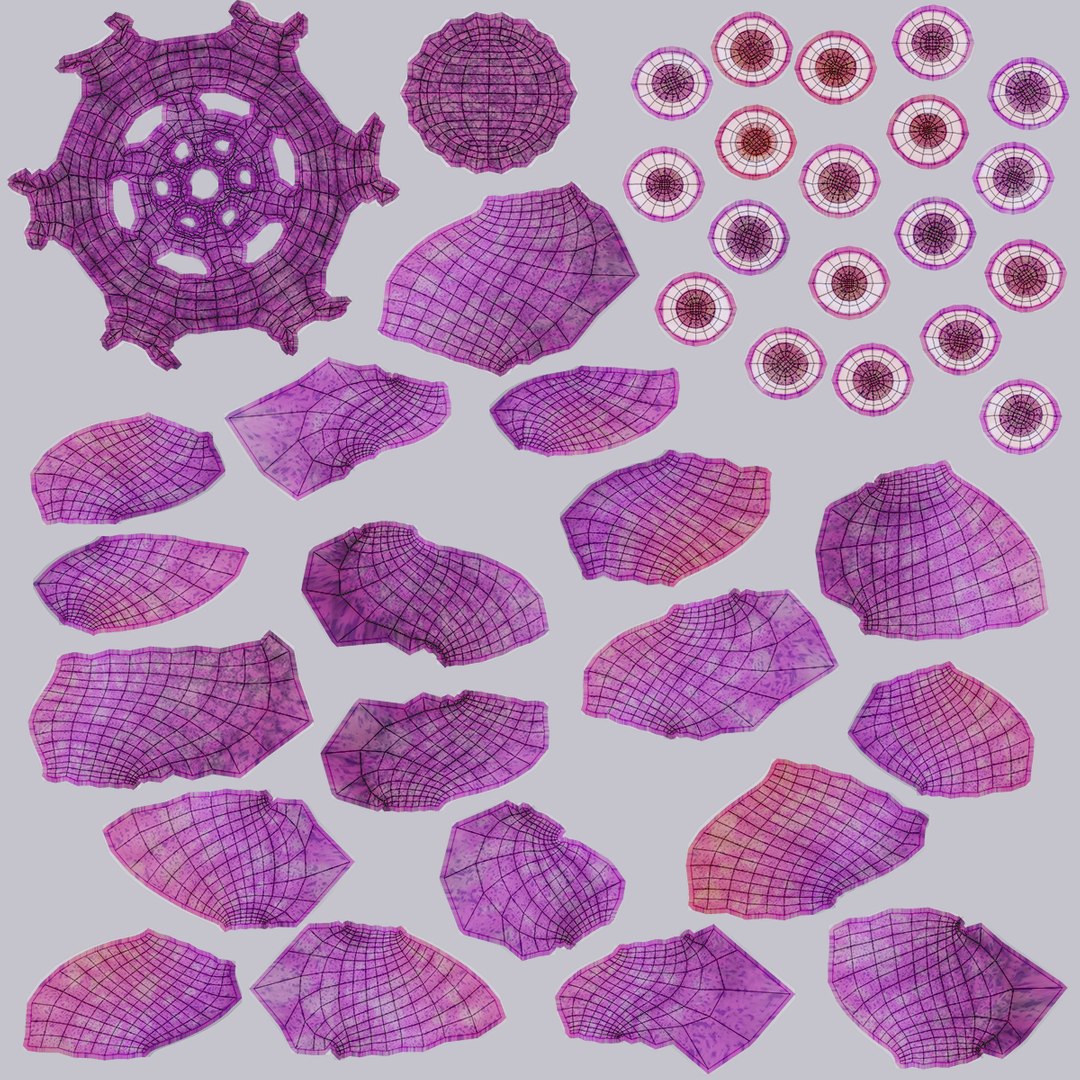 sea sponges 3d model