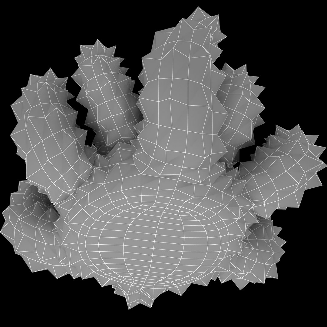 sea sponges 3d model