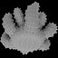 sea sponges 3d model