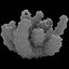 sea sponges 3d model