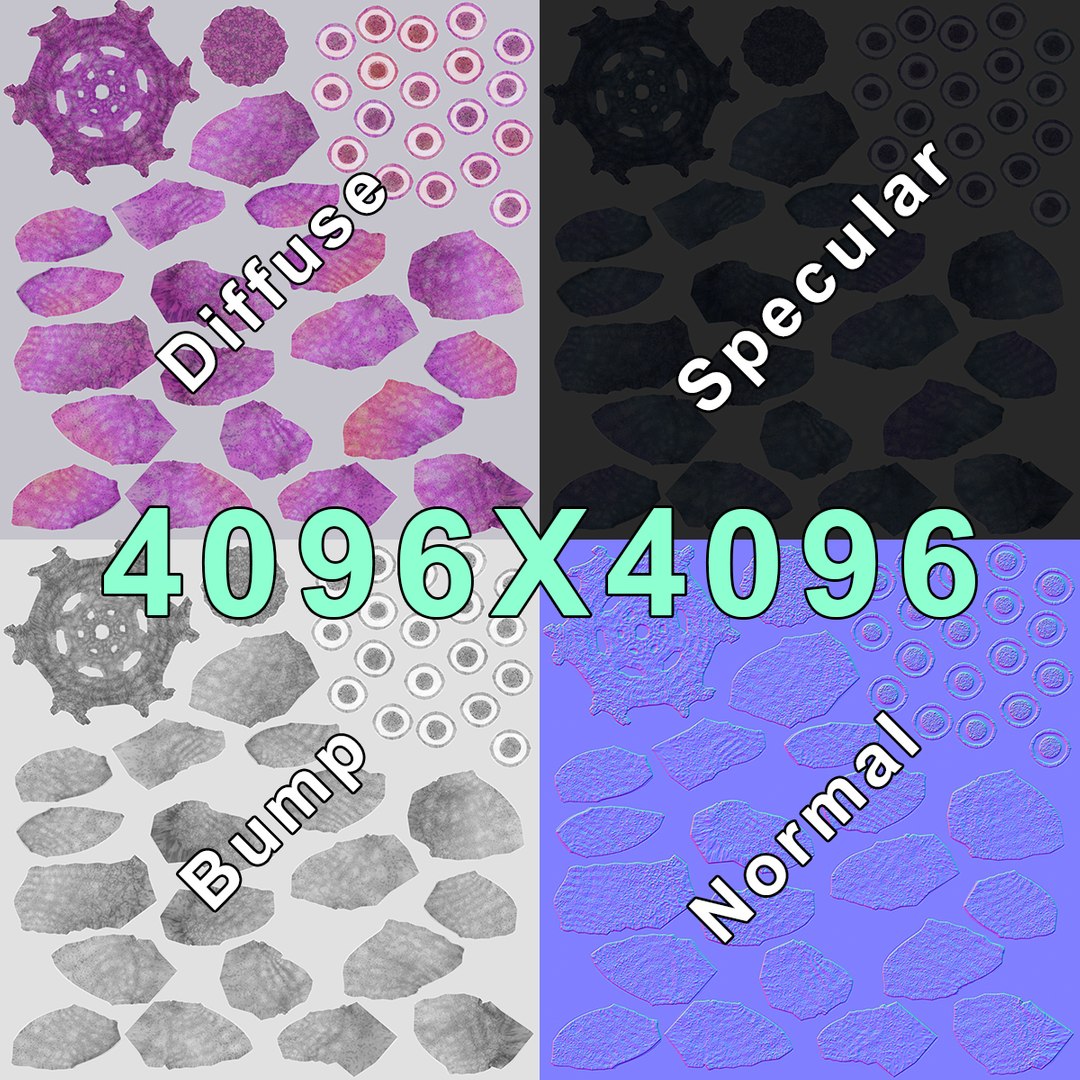 sea sponges 3d model