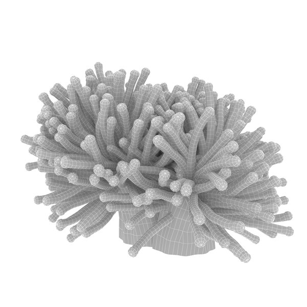3d obj sea corals aussie gold