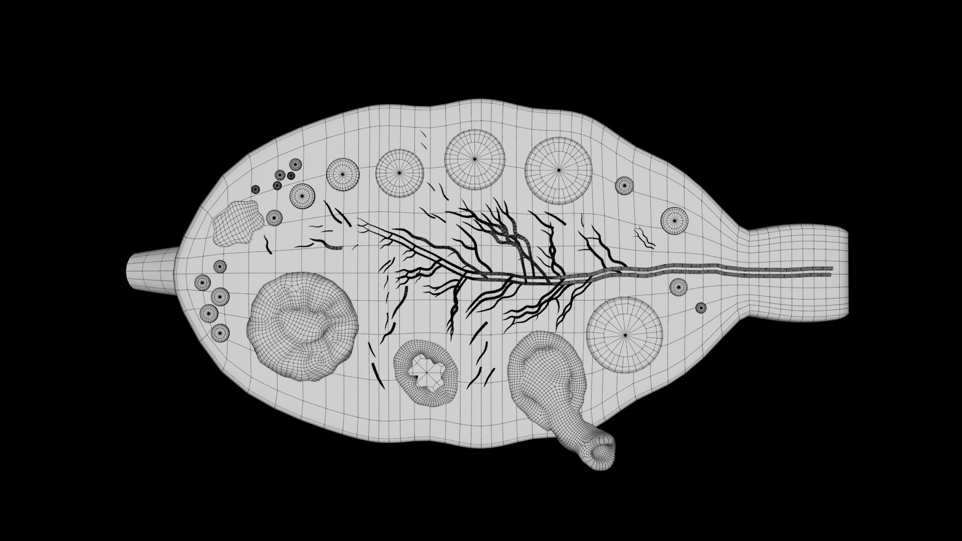 3D Human Anatomy-Female Genital System Model - TurboSquid 2230073