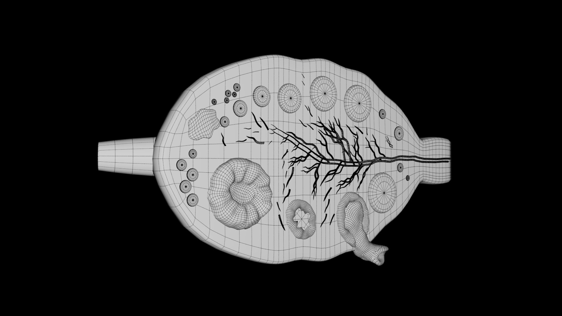 3D Human Anatomy-Female Genital System Model - TurboSquid 2230073