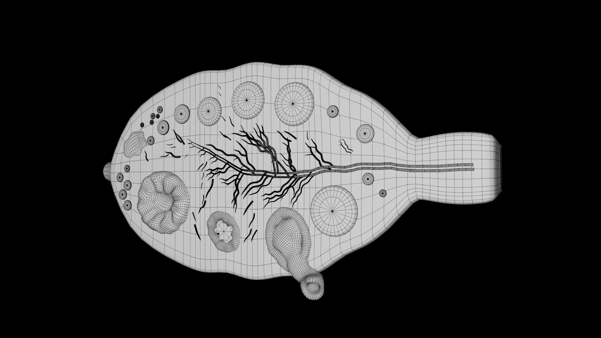 3D Human Anatomy-Female Genital System Model - TurboSquid 2230073