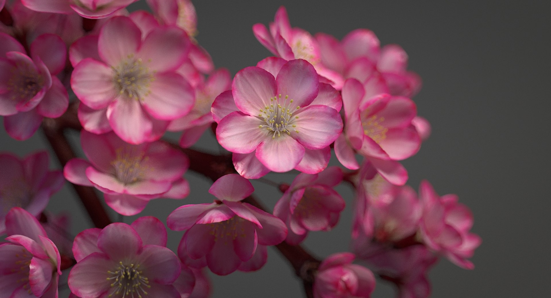 3D Realistic Sakura Branch Model - TurboSquid 1257128