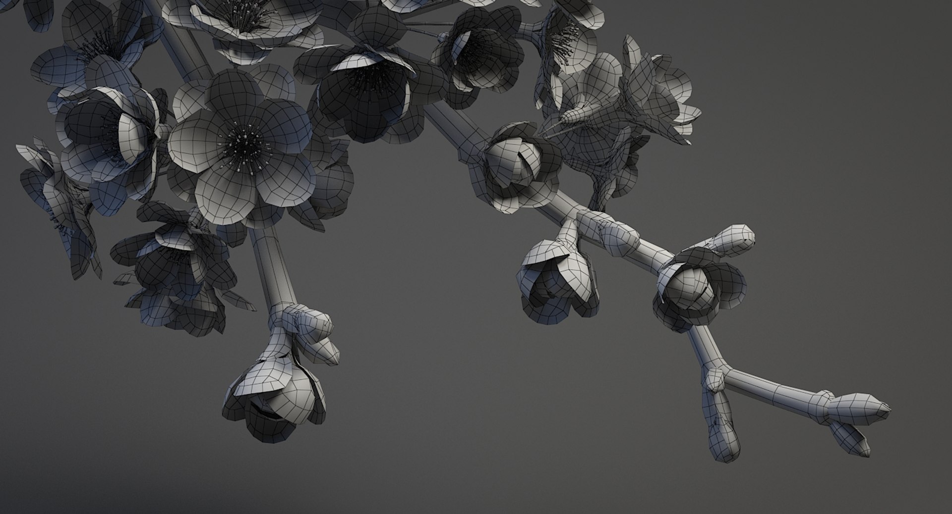 3D Realistic Sakura Branch Model - TurboSquid 1257128