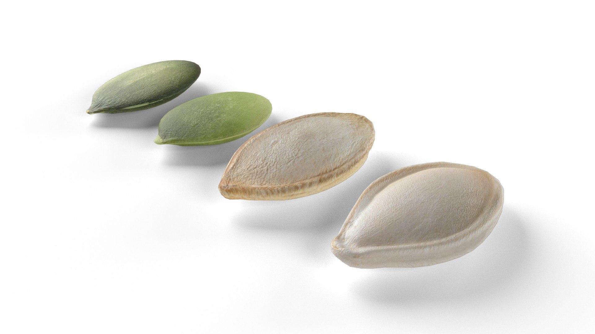 3D Model Pumpkin Seed Collection - TurboSquid 2407984