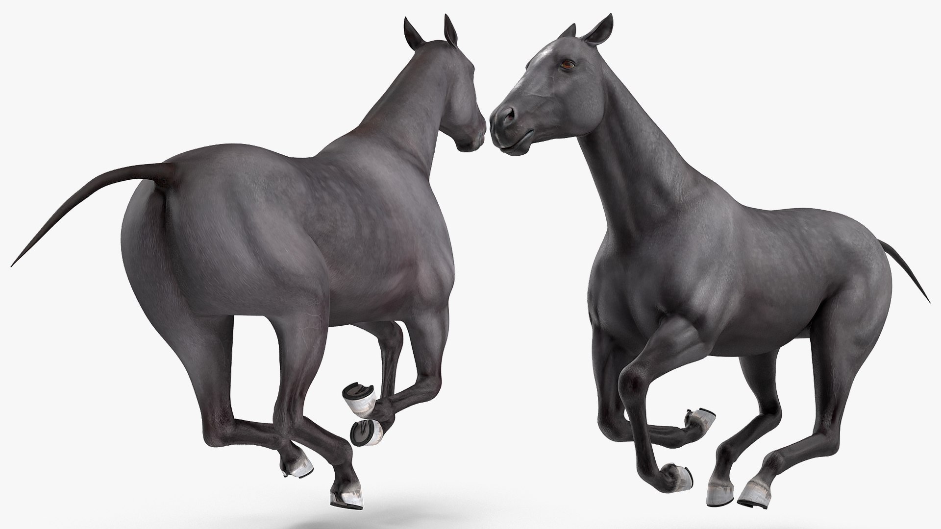 Gallop Black Horse 3D Model - TurboSquid 1465486