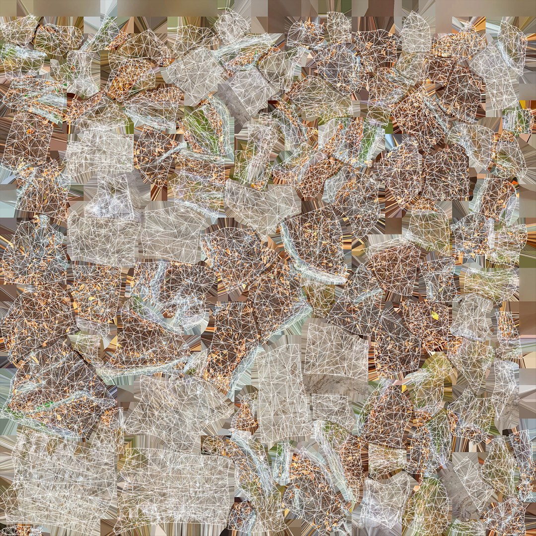 European Beech 07 3D Scanned Animated 3D Model - TurboSquid 2507816