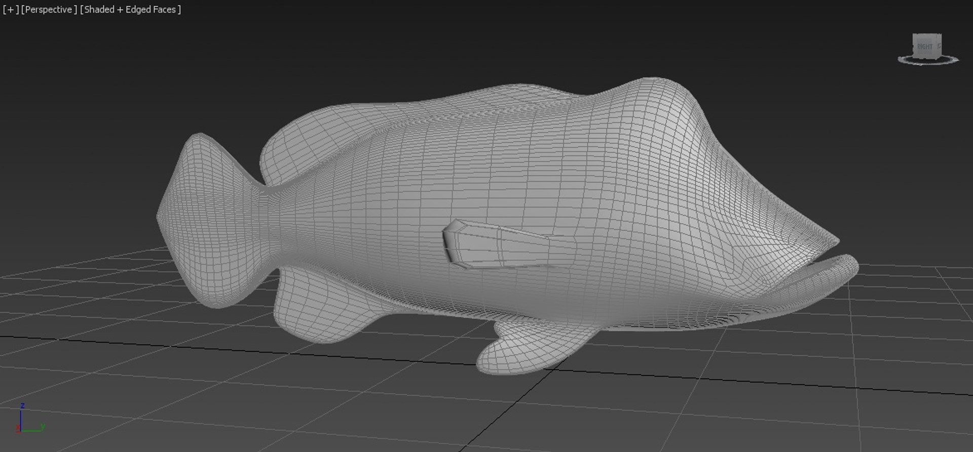Bass fish 3D model - TurboSquid 1154449