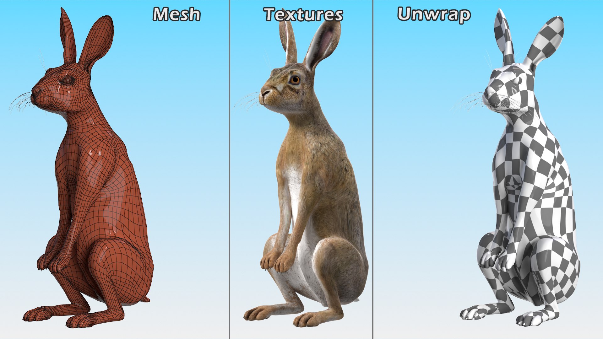 3D Hare Standing Pose - TurboSquid 2128806