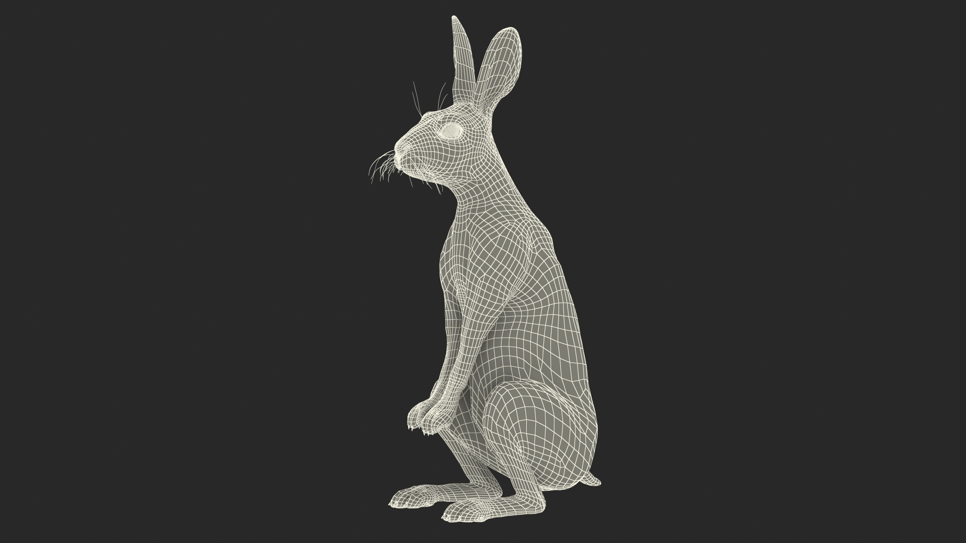 3D Hare Standing Pose - TurboSquid 2128806