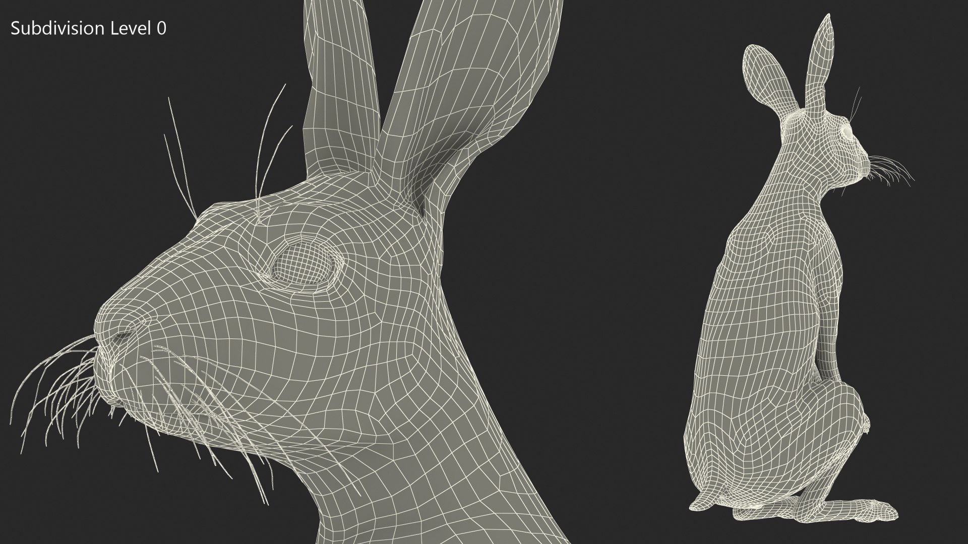 3D Hare Standing Pose - TurboSquid 2128806