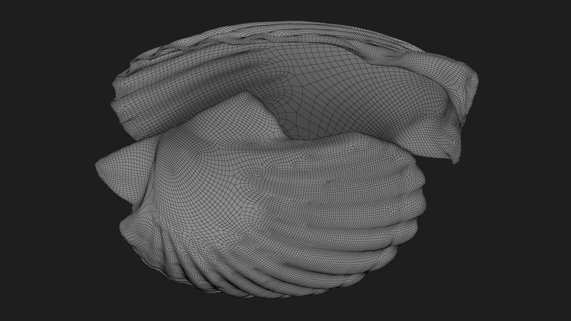 Clam Shell 05 Pose 2 3D Model - TurboSquid 2271434