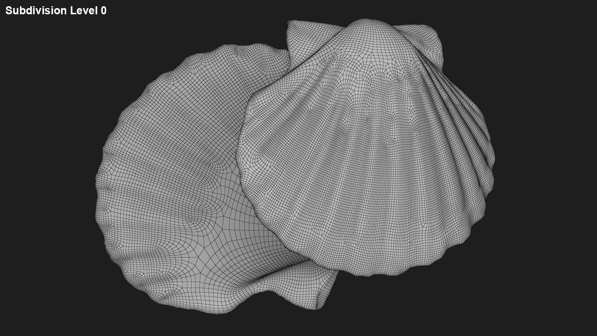 Clam Shell 05 Pose 2 3D Model - TurboSquid 2271434