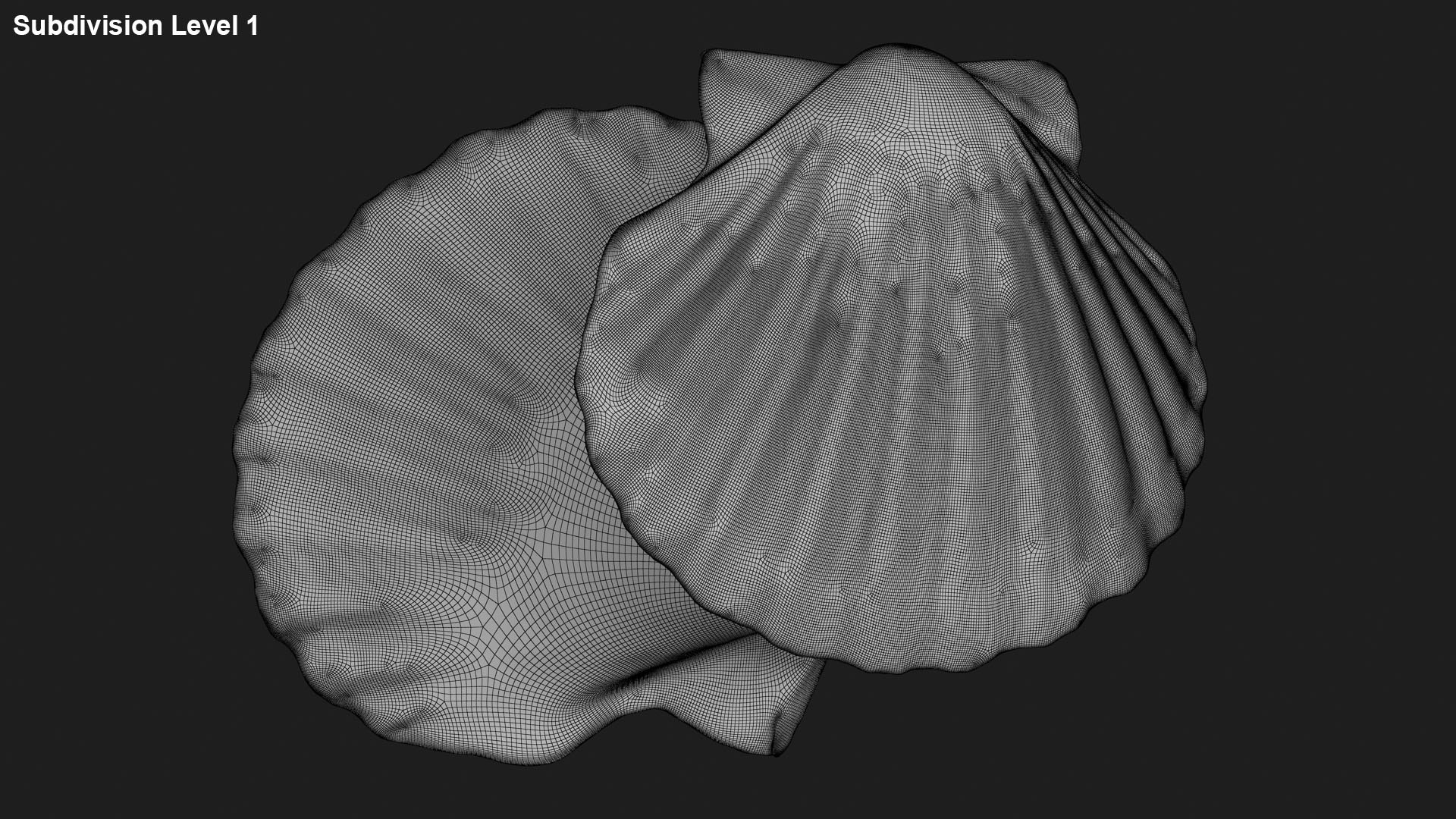 Clam Shell 05 Pose 2 3D Model - TurboSquid 2271434