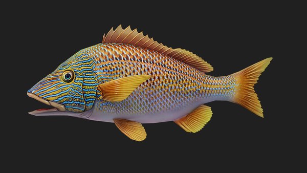 modelo 3d pez ronco - TurboSquid 2119065