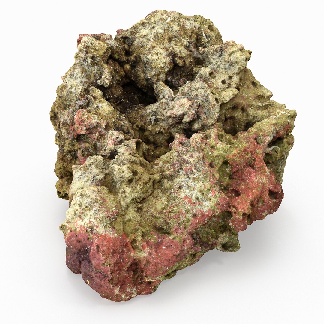 3D Fiji Rock Model - TurboSquid 1170531