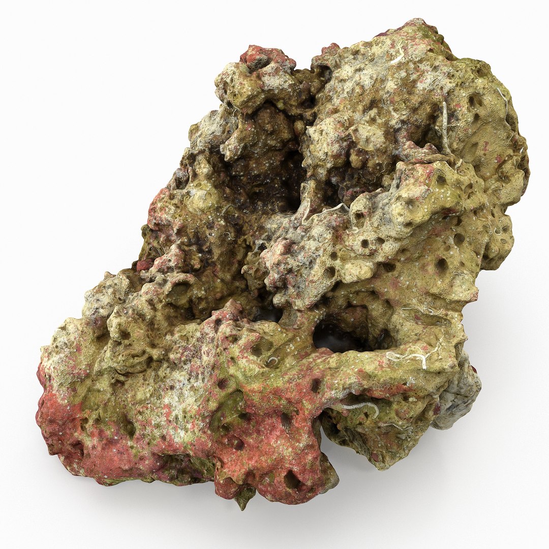 3D Fiji Rock Model - TurboSquid 1170531