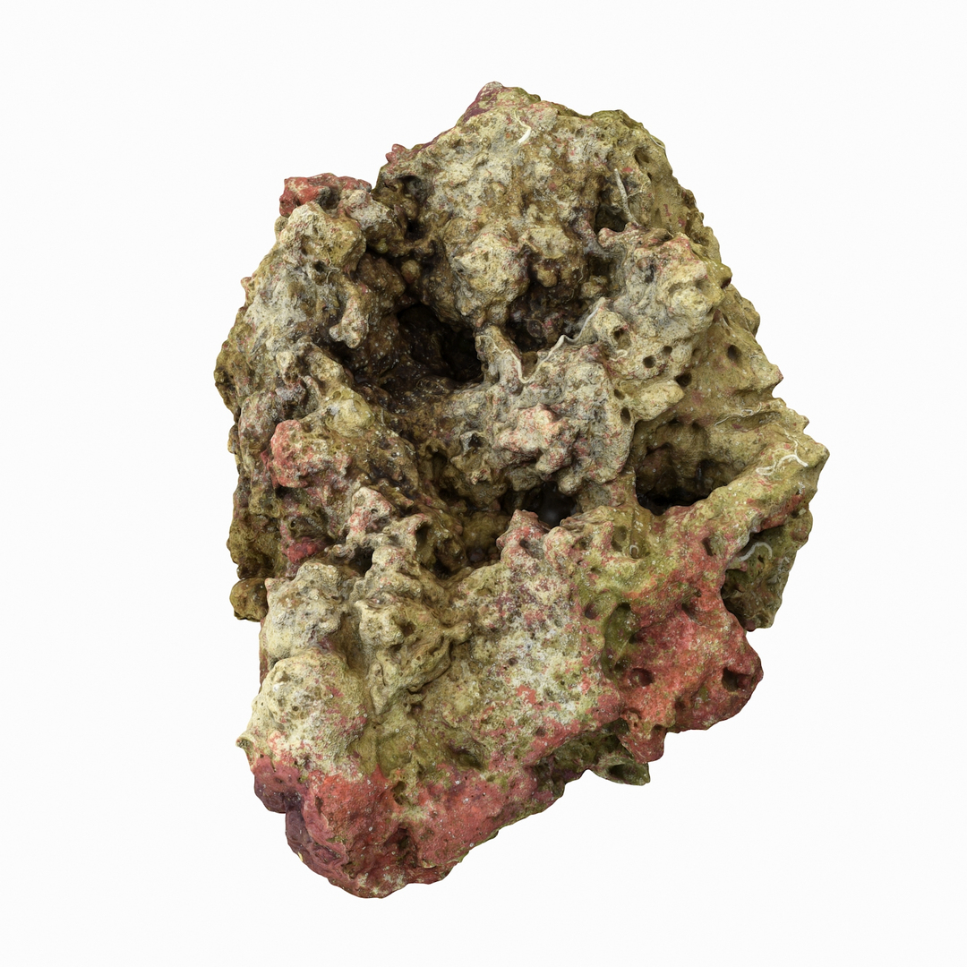 3D Fiji Rock Model - TurboSquid 1170531