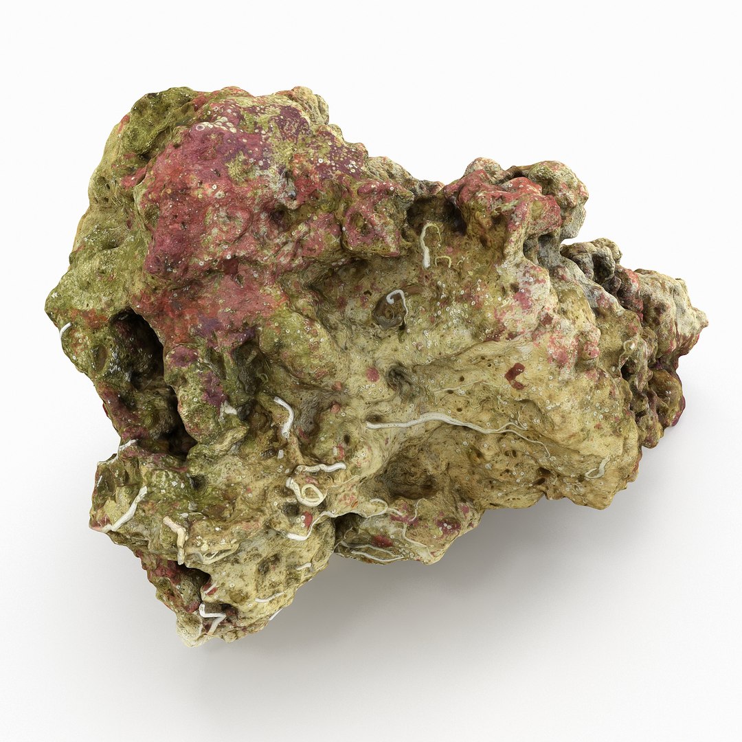 3D Fiji Rock Model - TurboSquid 1170531