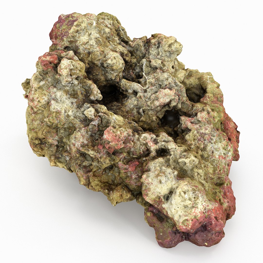 3D Fiji Rock Model - TurboSquid 1170531