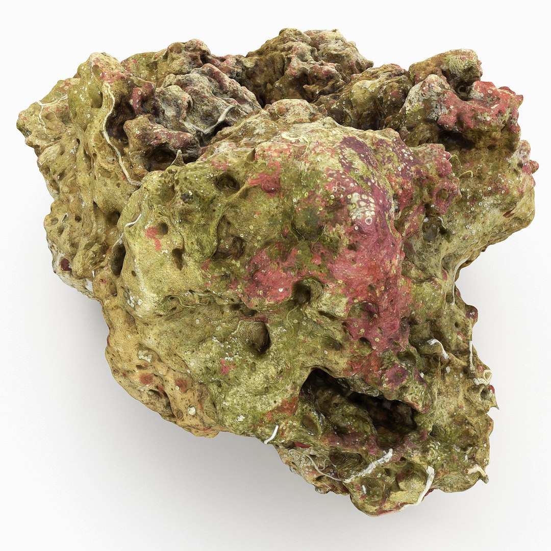 3D Fiji Rock Model - TurboSquid 1170531