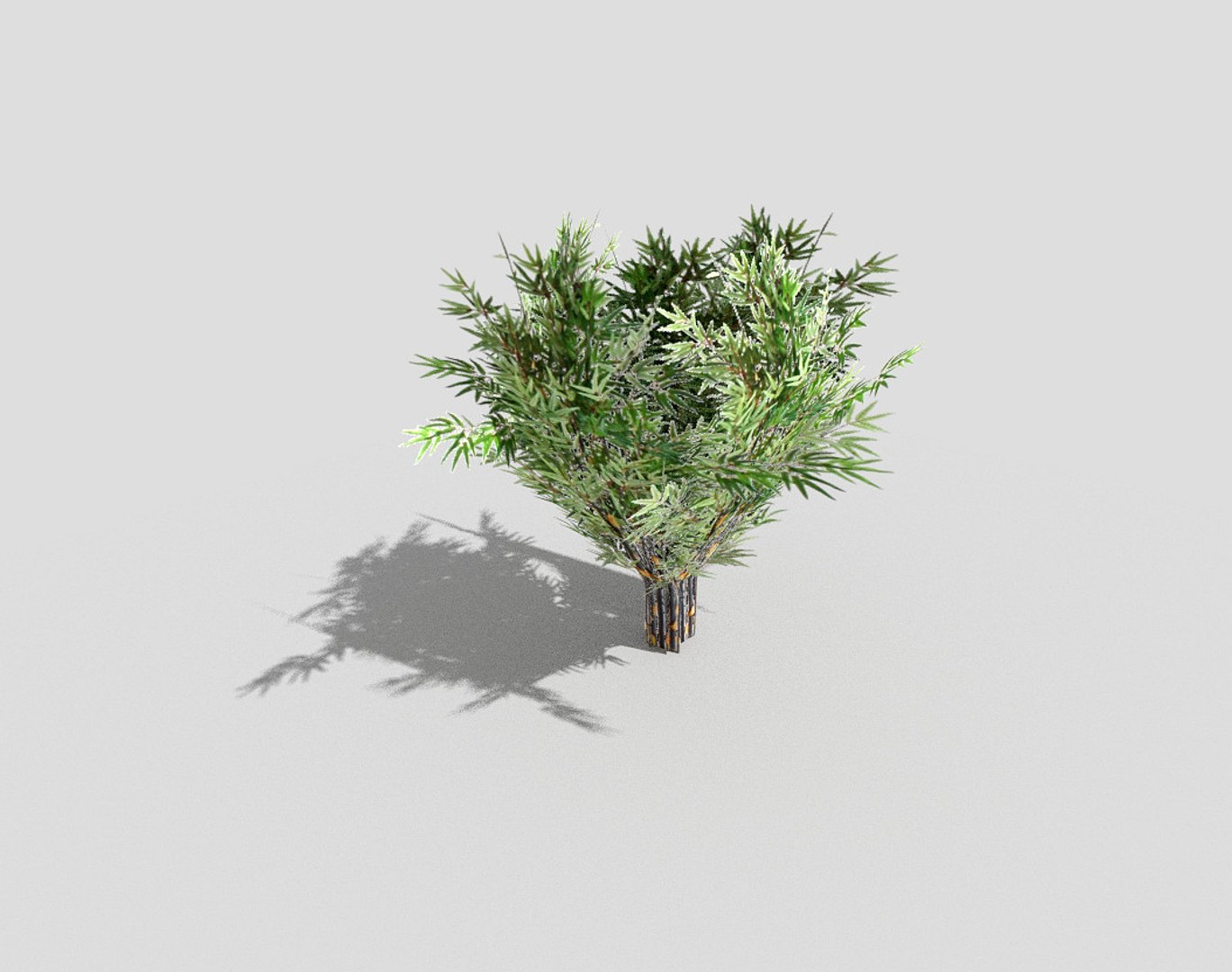 Plant 3D Model - TurboSquid 1116277