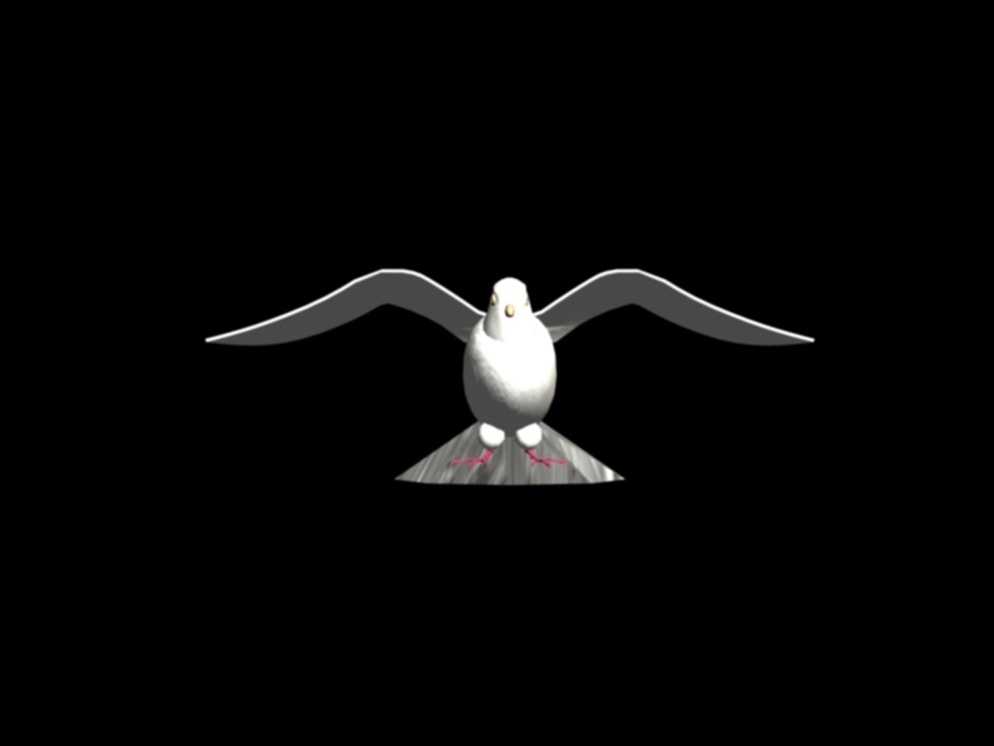 Dove Animation 3d Model