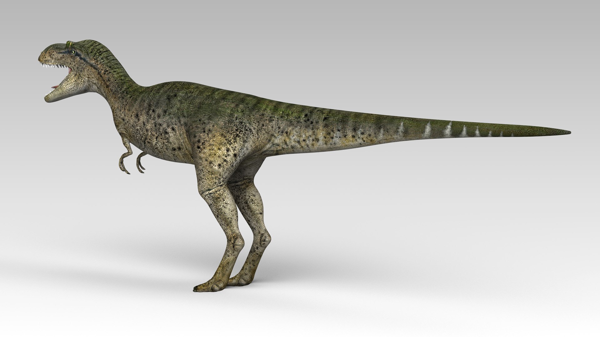 Albertosaurus 3D Model - TurboSquid 1269914