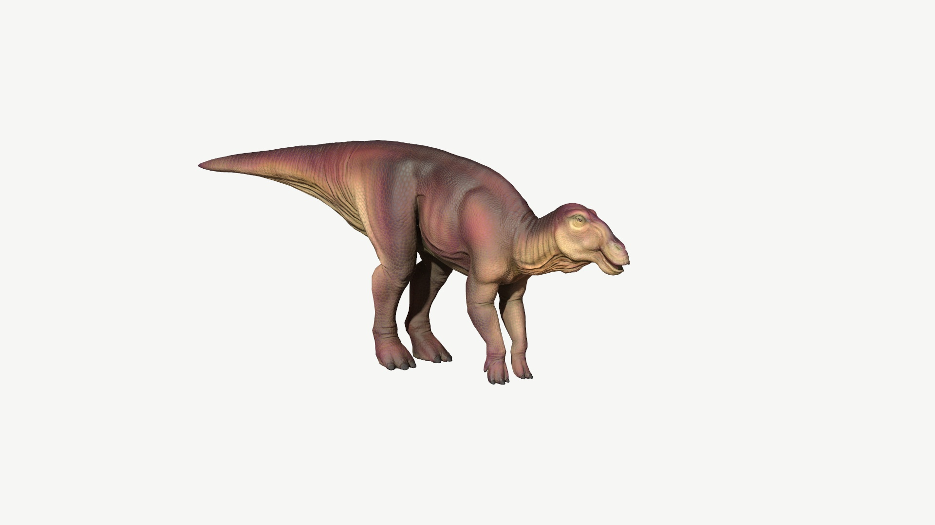 3D Edmontosaurus - TurboSquid 1242285