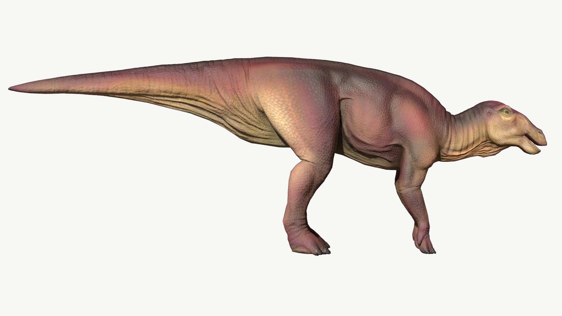 3D Edmontosaurus - TurboSquid 1242285