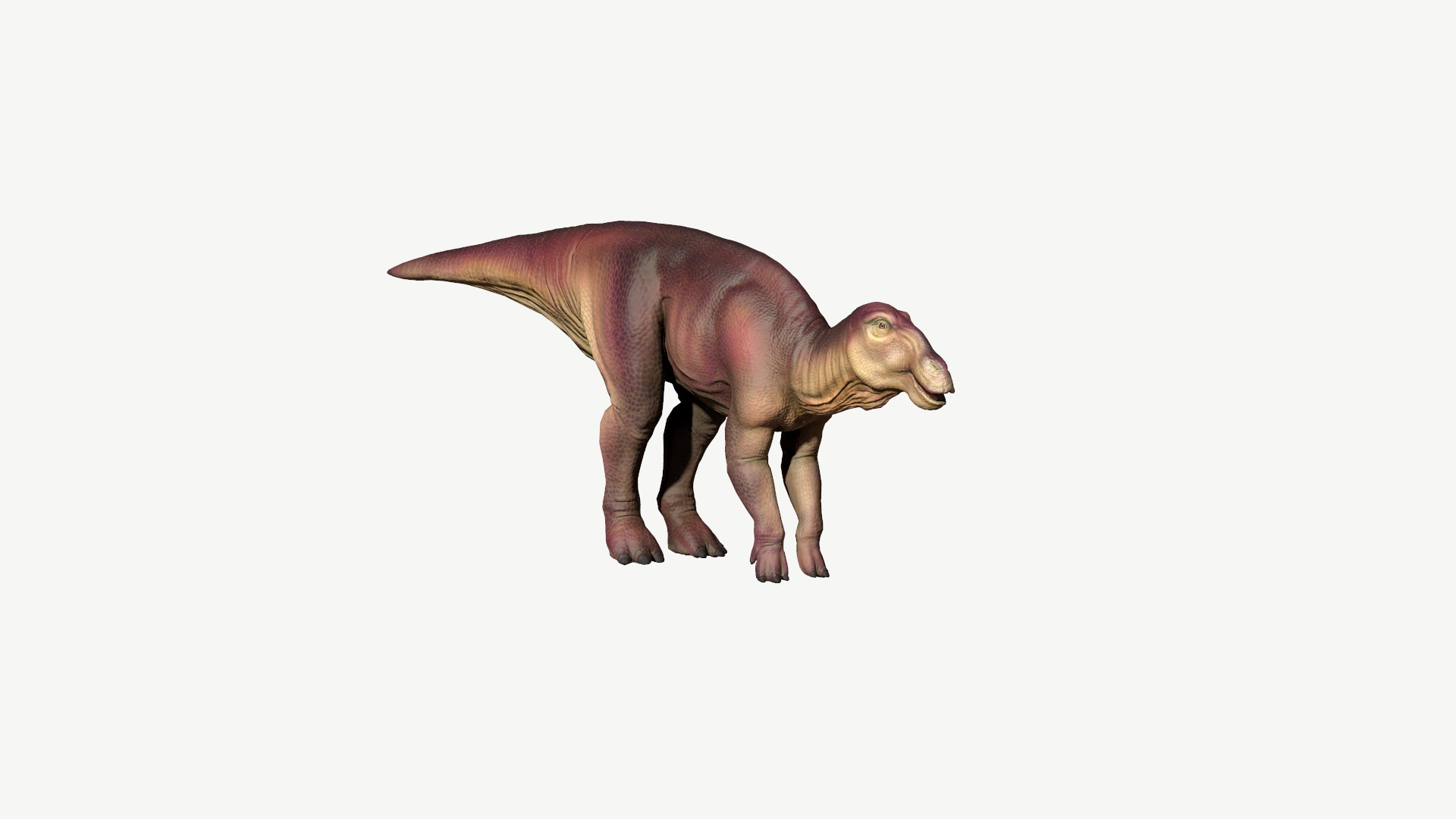 3D Edmontosaurus - TurboSquid 1242285