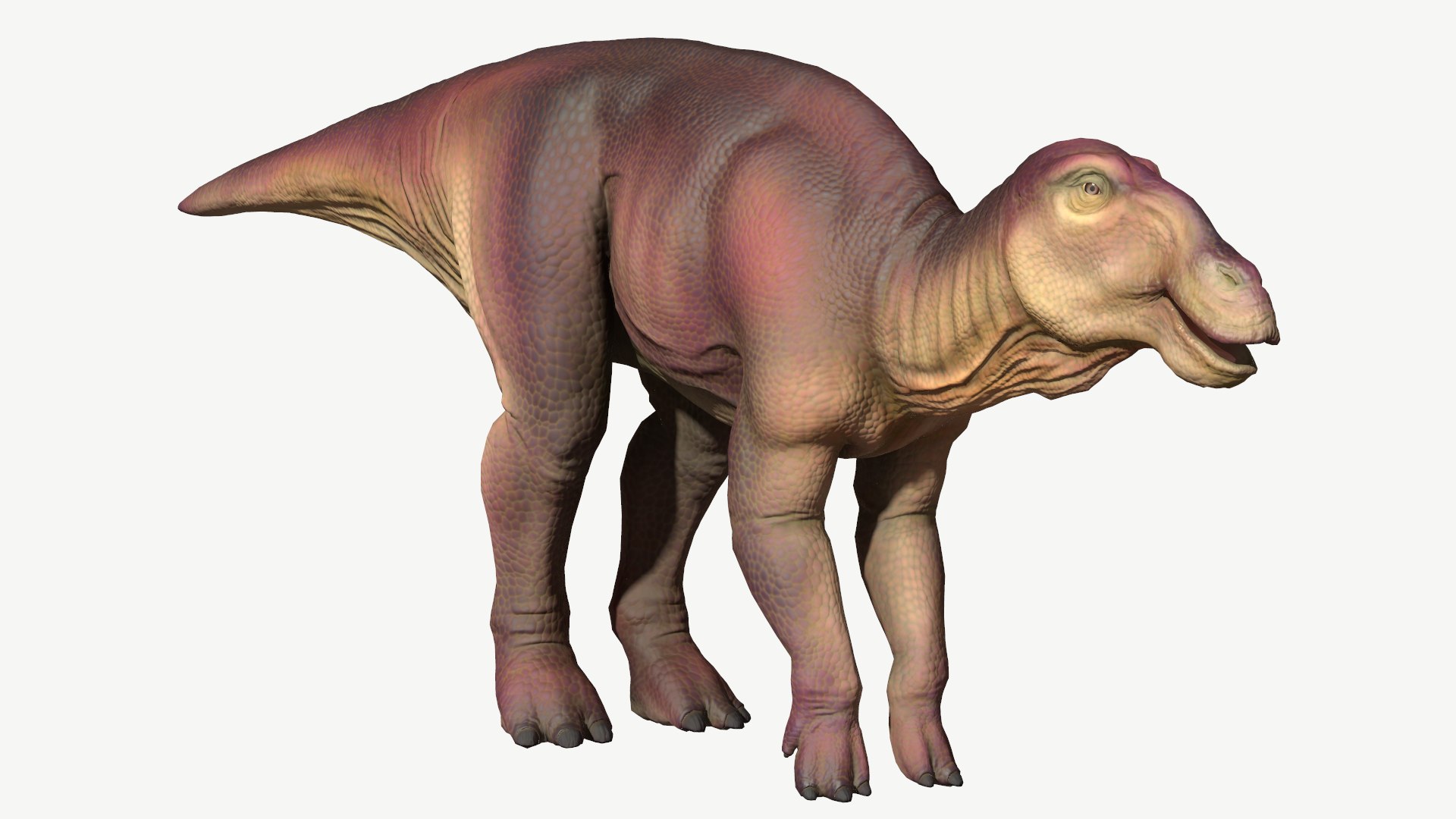 3D Edmontosaurus - TurboSquid 1242285
