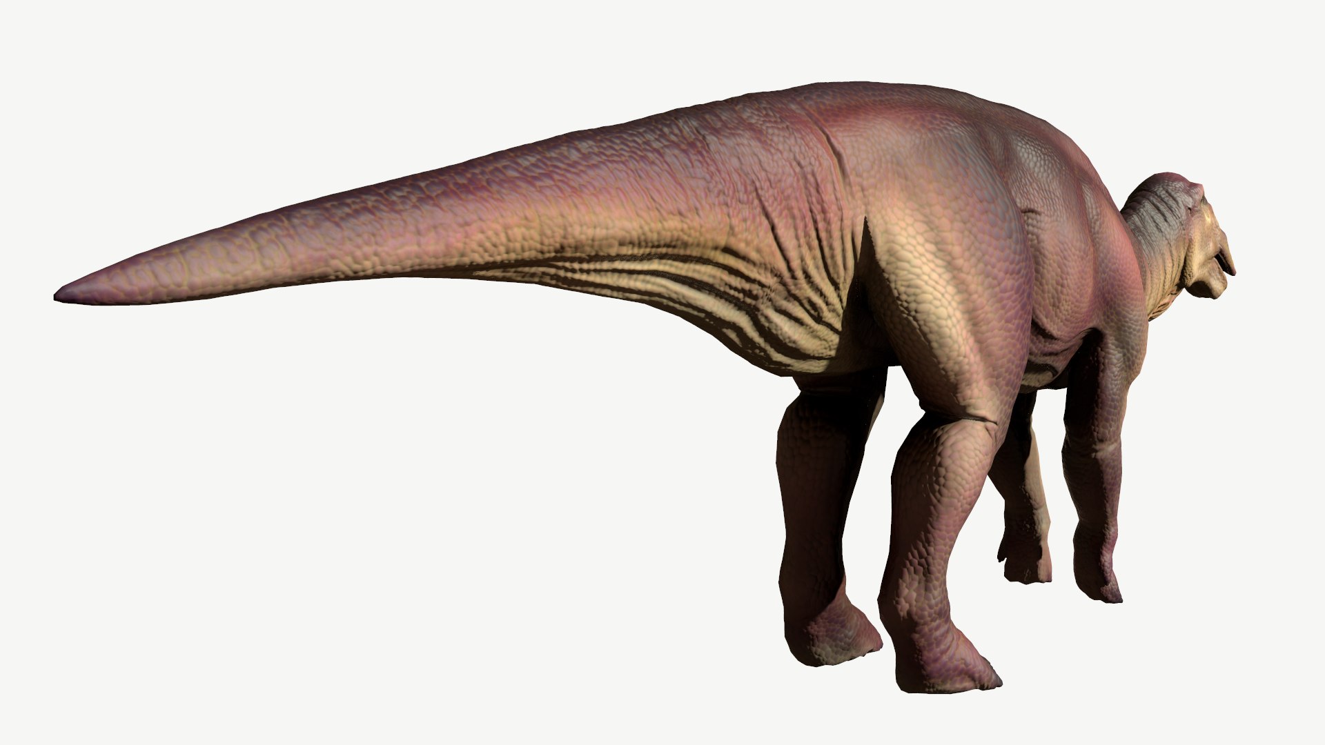 3D Edmontosaurus - TurboSquid 1242285