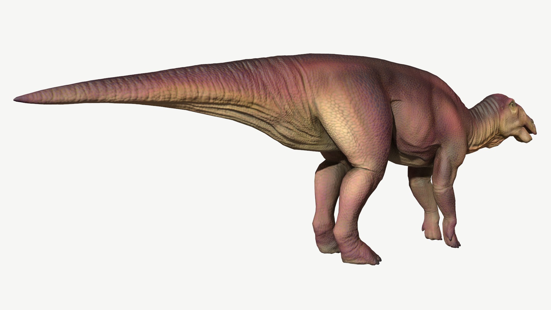 3D Edmontosaurus - TurboSquid 1242285