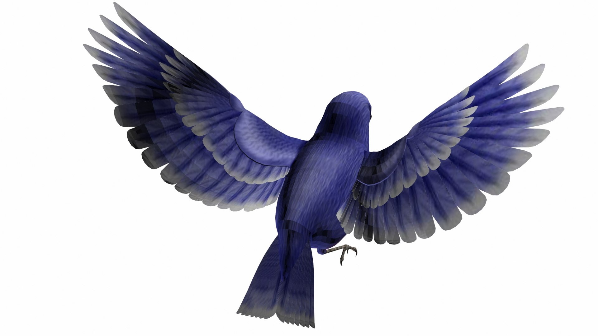 Blue Bird Model - TurboSquid 1672249