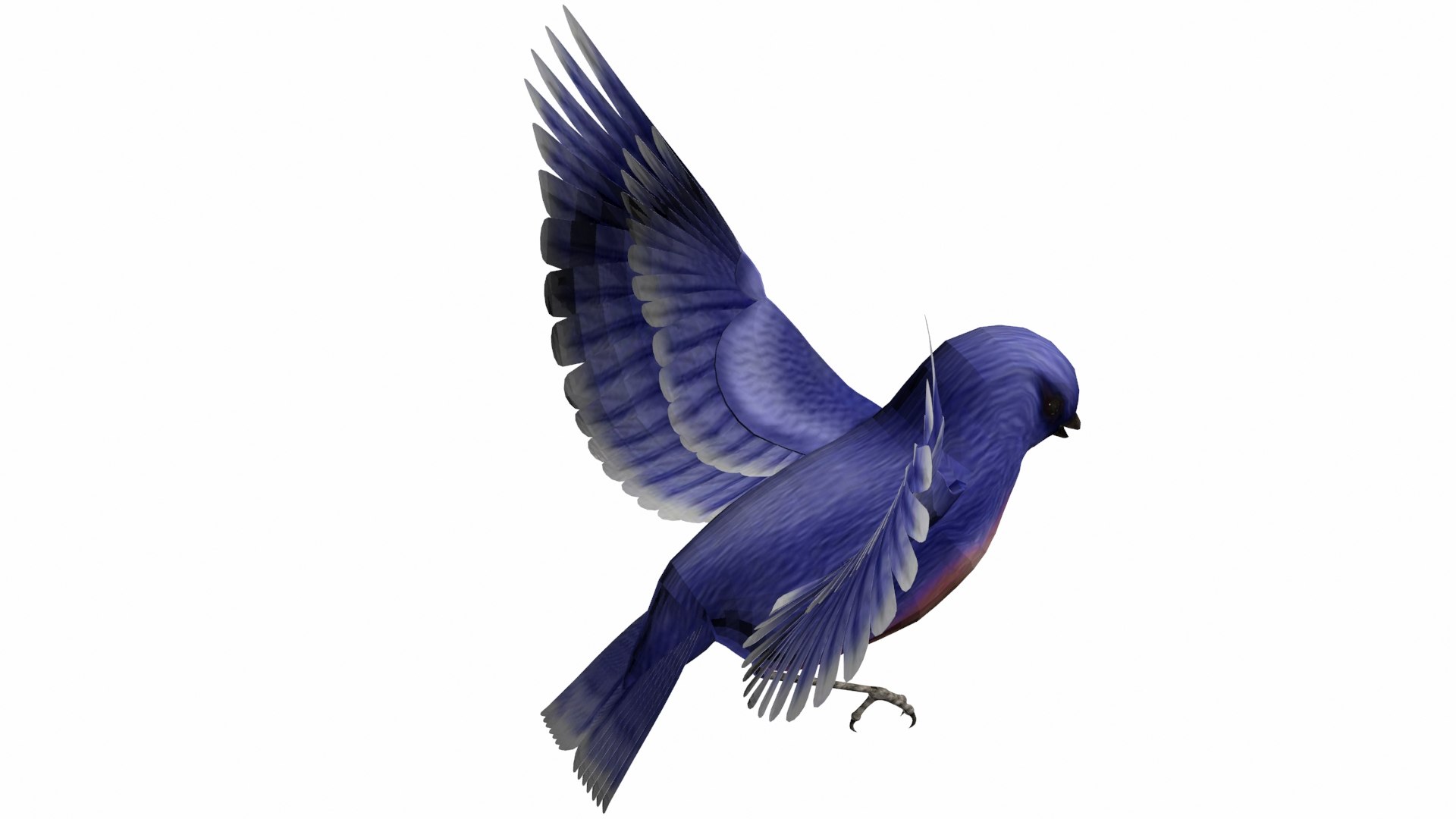 Blue Bird Model - TurboSquid 1672249