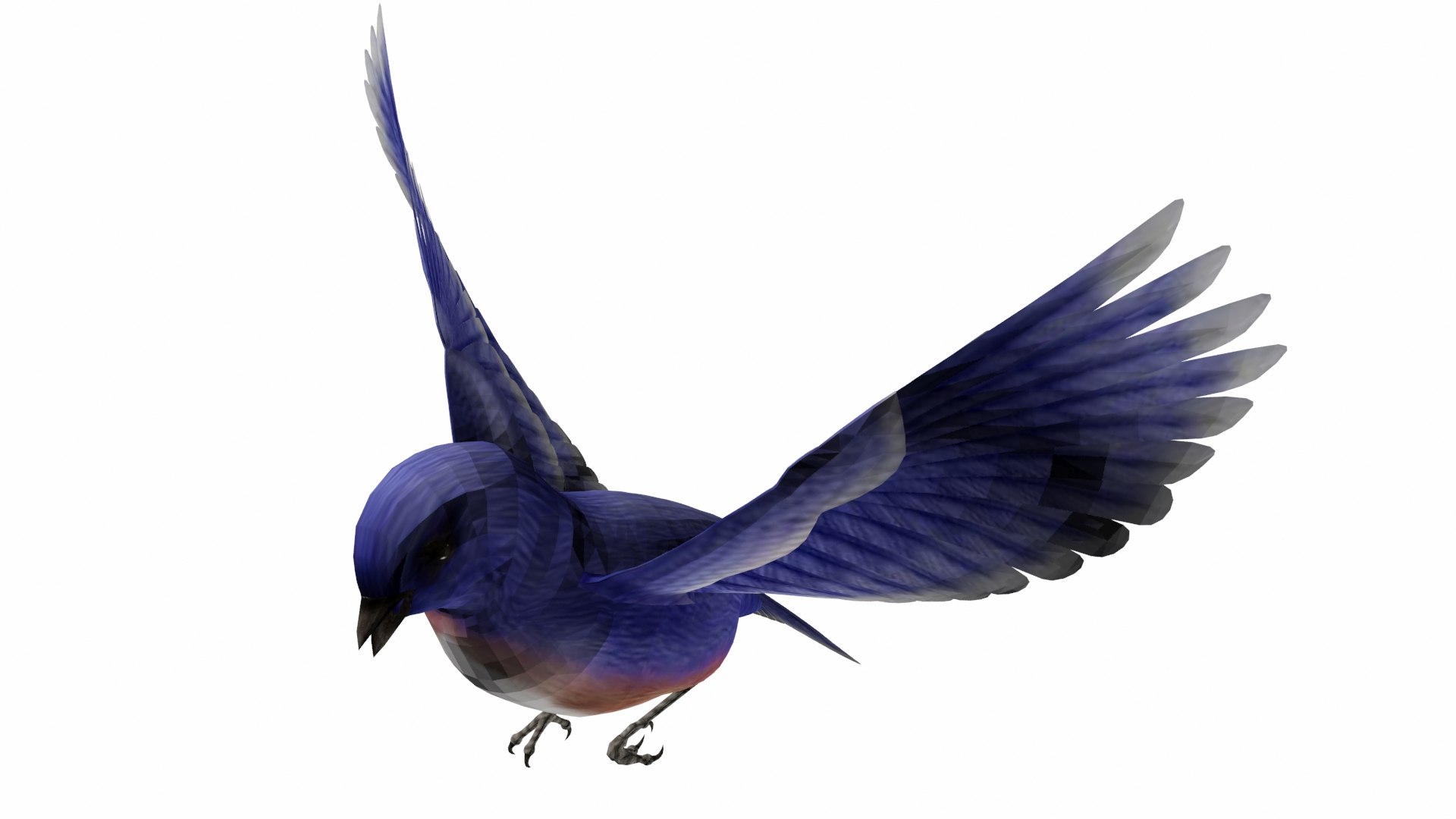 Blue Bird Model - TurboSquid 1672249