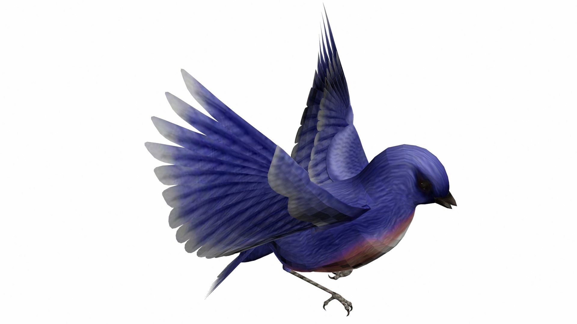 Blue Bird Model - TurboSquid 1672249