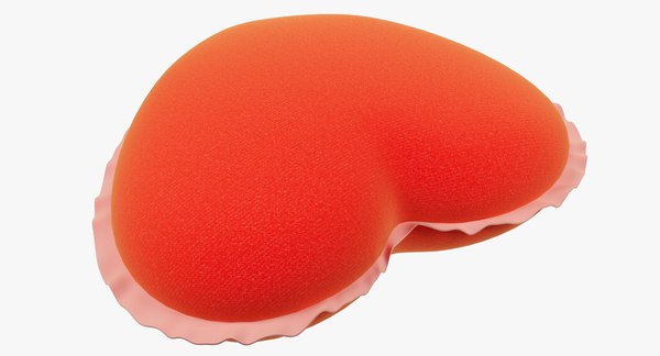 Stuffed heart 3D model - TurboSquid 1366737